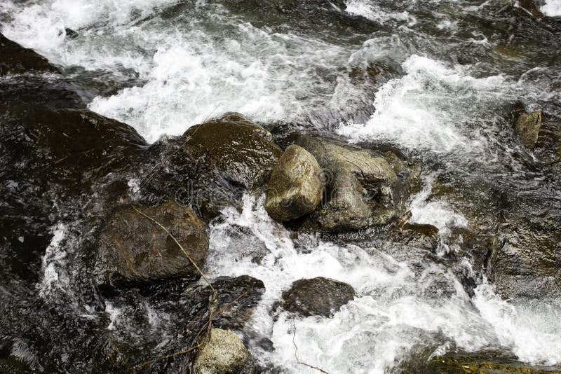 River water stock photo. Image of rapids, cascade, creek - 166523658