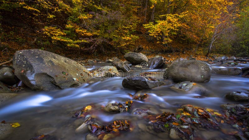 The River stock photo. Image of colors, forest, river - 45820922