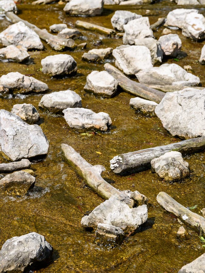 River Water Running through Stones and Wood Stock Photo - Image of ...