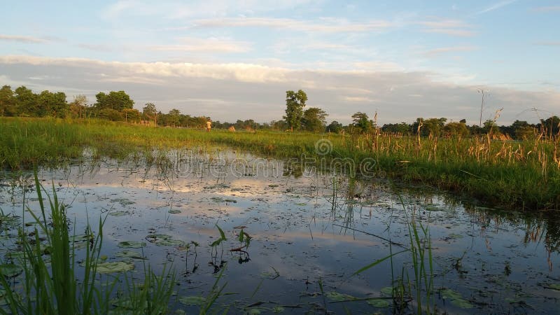 River water with sky view stock image. Image of nature - 194782907