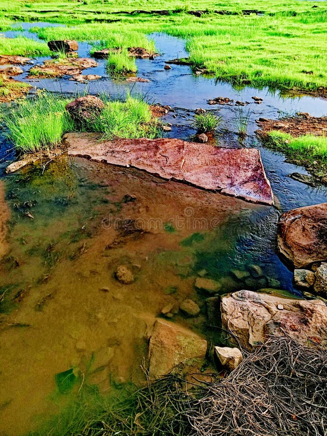 River Water Stone Photography Stock Photo - Image of nature, river ...