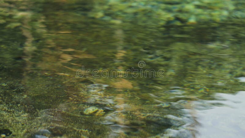 The River Water Surface Blurred, Abstract Nature Wallpaper Stock Photo ...