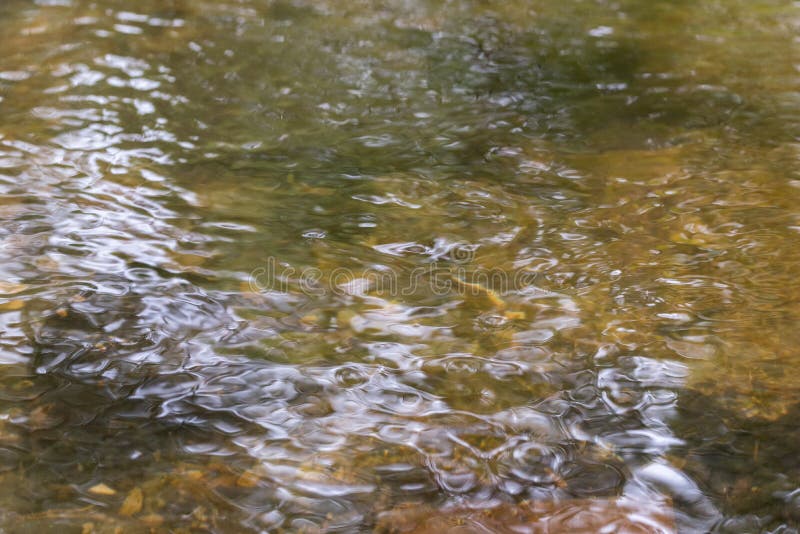 River Water stock photo. Image of green, scene, water - 140442210