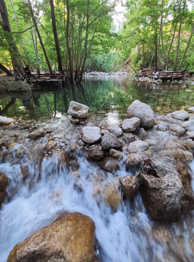 River Water Waterfall Reflection Stones Trees Editorial Stock Photo ...