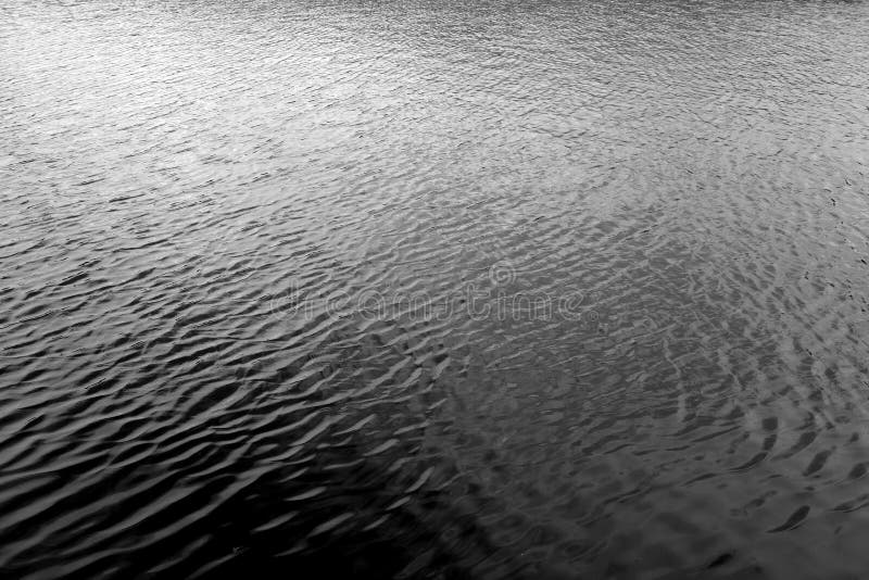 River Water Wave Pattern. Black and White Stock Image - Image of design ...