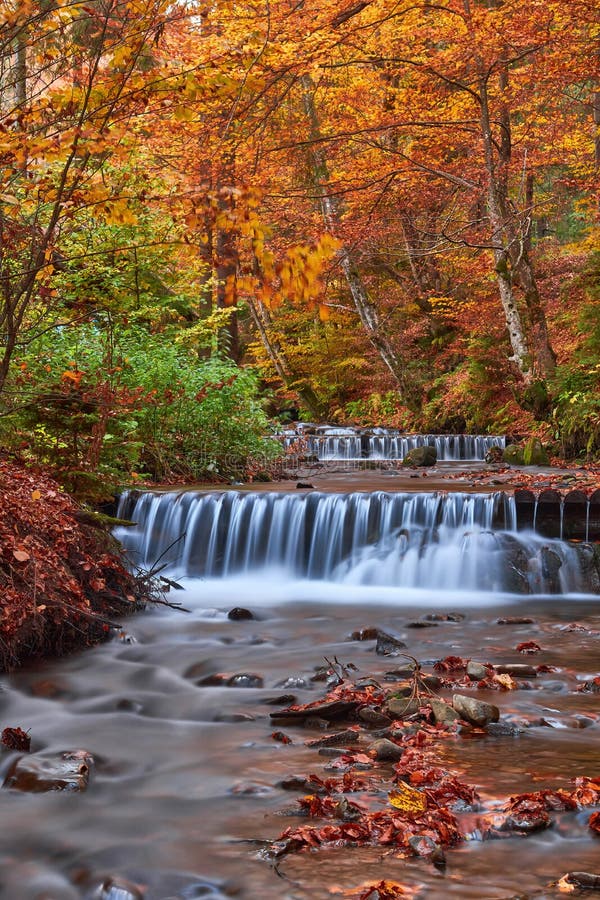 River Waterfall in the Autumn Forest. Autumn Forest Waterfall Stock ...