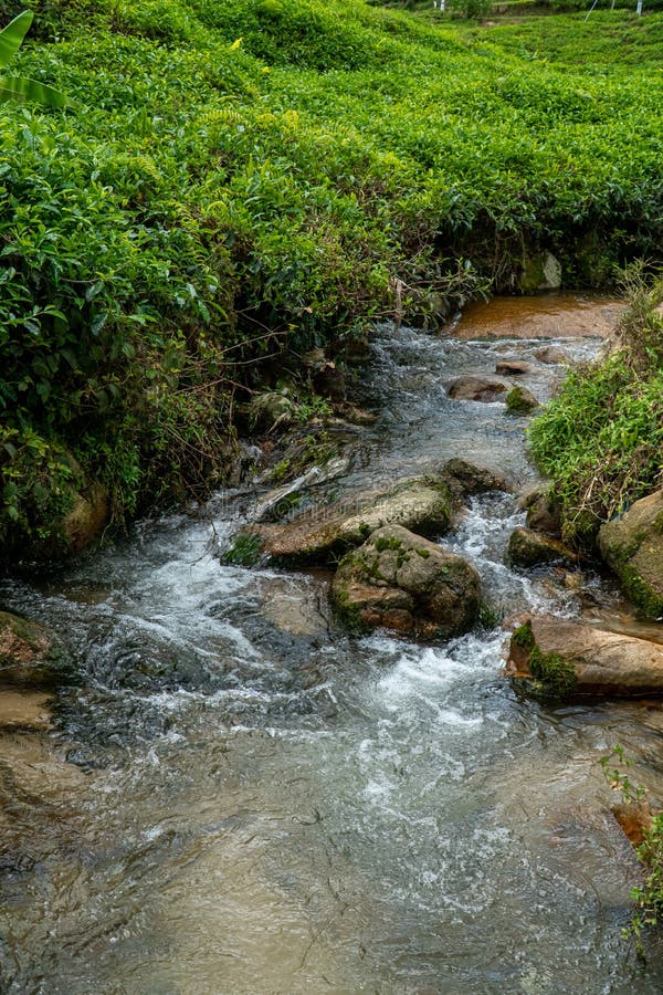 River Waterfall in Forest. Water Flow in the Stream with Rock on the ...