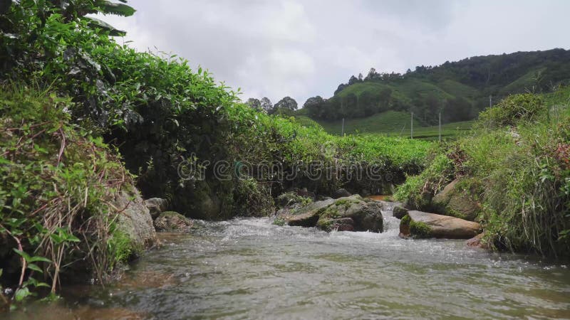 River Waterfall in Forest. Water Flow in the Stream with Rocks on the ...