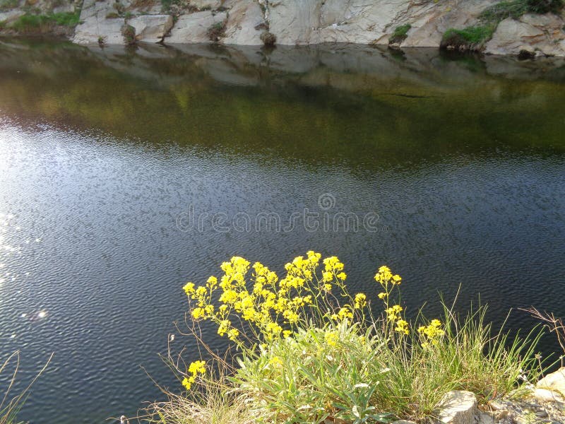 River waterfall scene stock image. Image of season, wild - 129492053