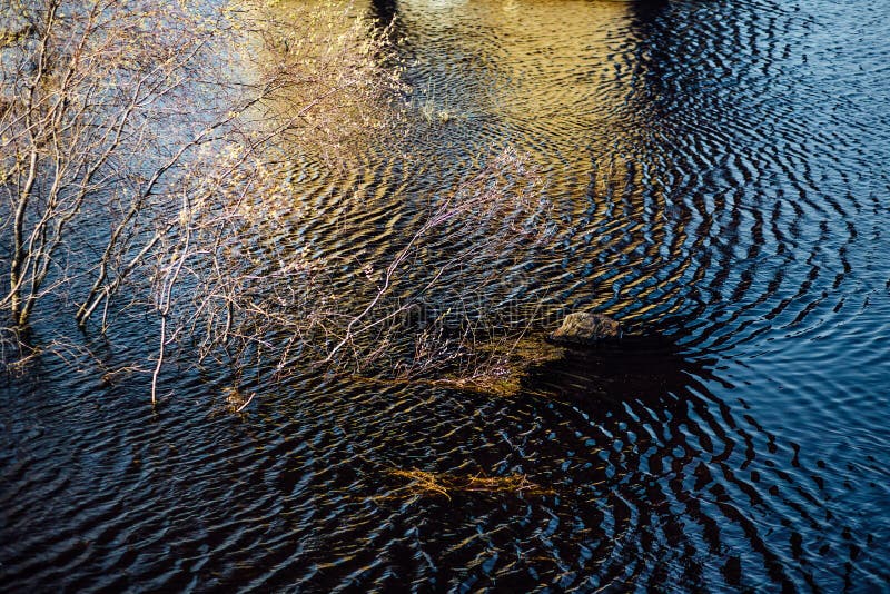 River waves on the water stock photo. Image of bright - 203207578