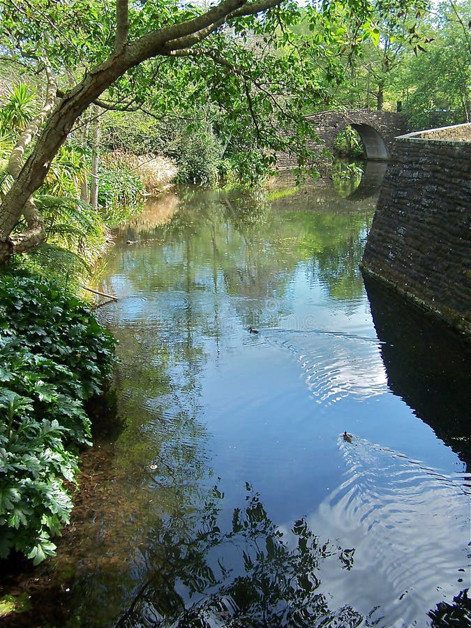 Romantic Setback Stock Photos - Free & Royalty-Free Stock Photos from ...