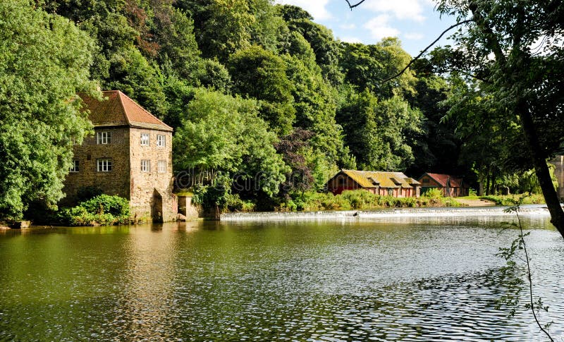 River Wear stock photo. Image of tree, outdoors, plant - 13417008