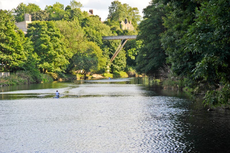 River Wear stock image. Image of tree, plant, united - 13417595
