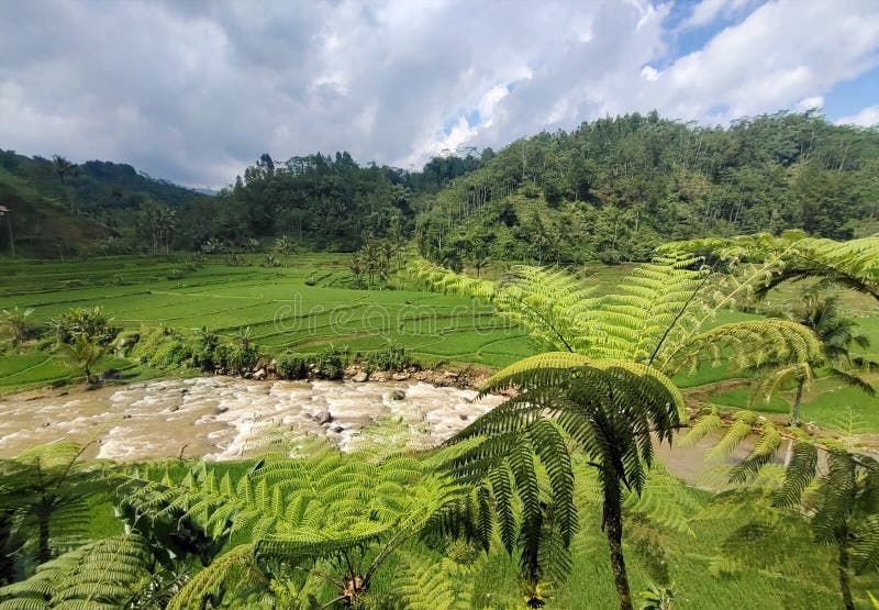 The River at West Java Indonesia Stock Photo - Image of west, java ...