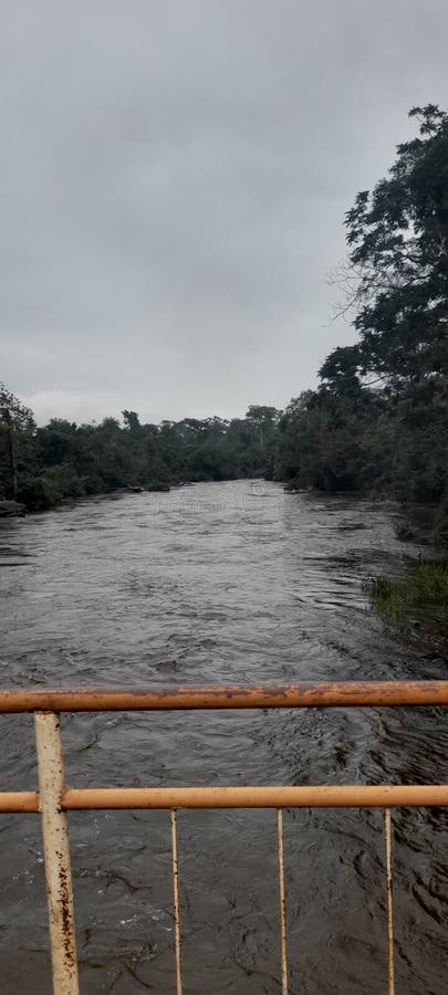 River in the Western Region of Ivory Coast. Stock Image - Image of ...