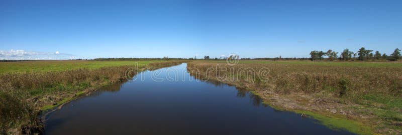 River Wetlands Panorama, Panoramic, Nature Banner Stock Image - Image ...
