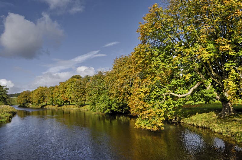 River Wharfe - Yorkshire Dales - England Stock Image - Image of rural ...