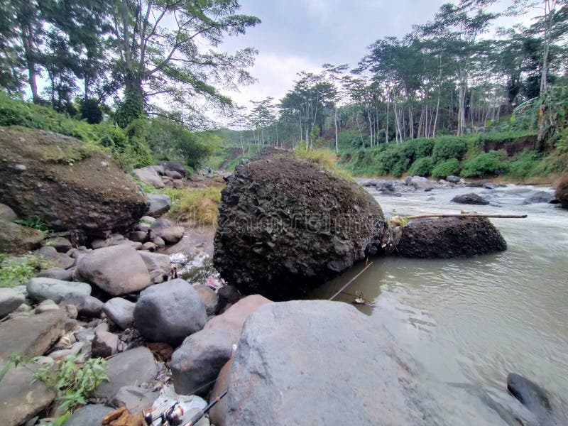 River Where Fresh Water Fish Stock Photo - Image of fresh, strike ...