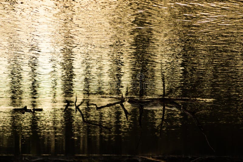 Upside Down - Unique Perspective on the World Stock Photo - Image of ...