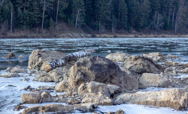 The River on Which the Shuga Floats in Front of the Icebreaker in the ...