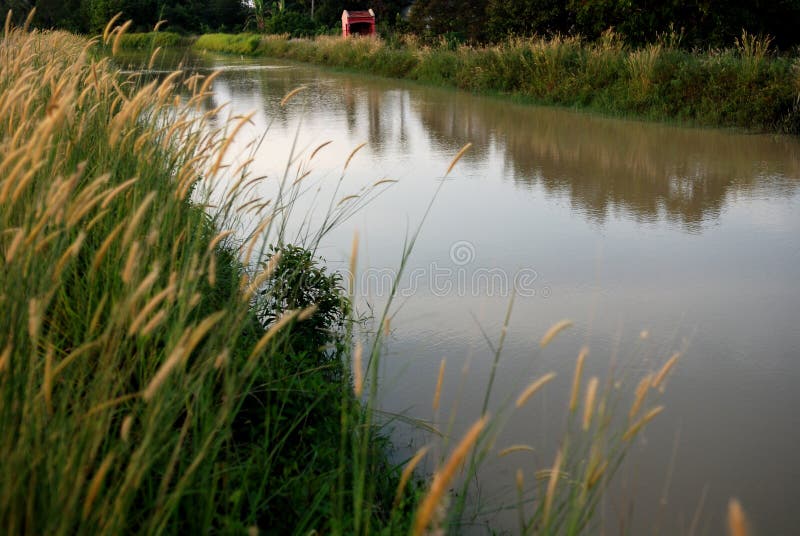 River and wild flowers stock photo. Image of countryside - 2296996