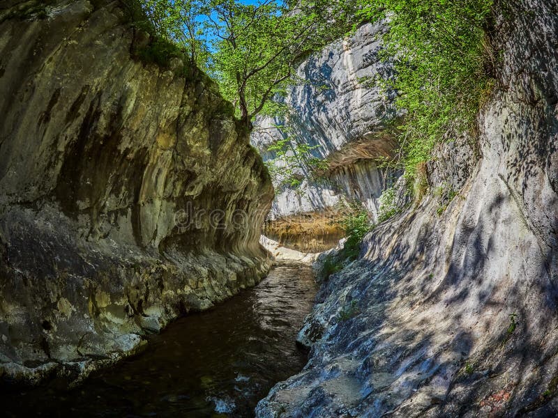River in a Wild Gorge. Cheile Banitei Gorge, Romania Stock Image ...