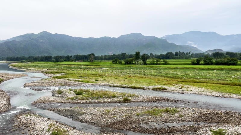 River Winding through a Green Rice Fields in Countryside of Pakistan ...