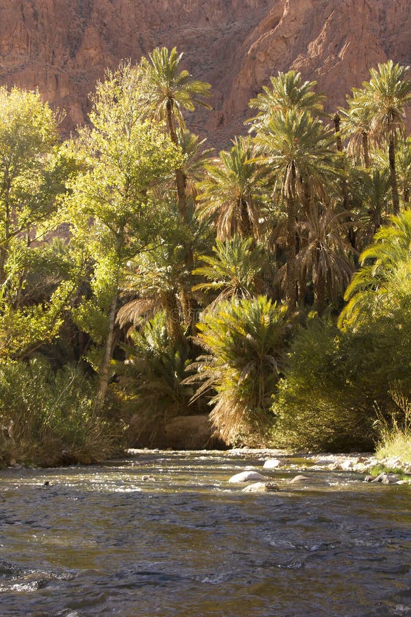 River Winds among the Oasis Stock Photo - Image of peaceful, oasis ...