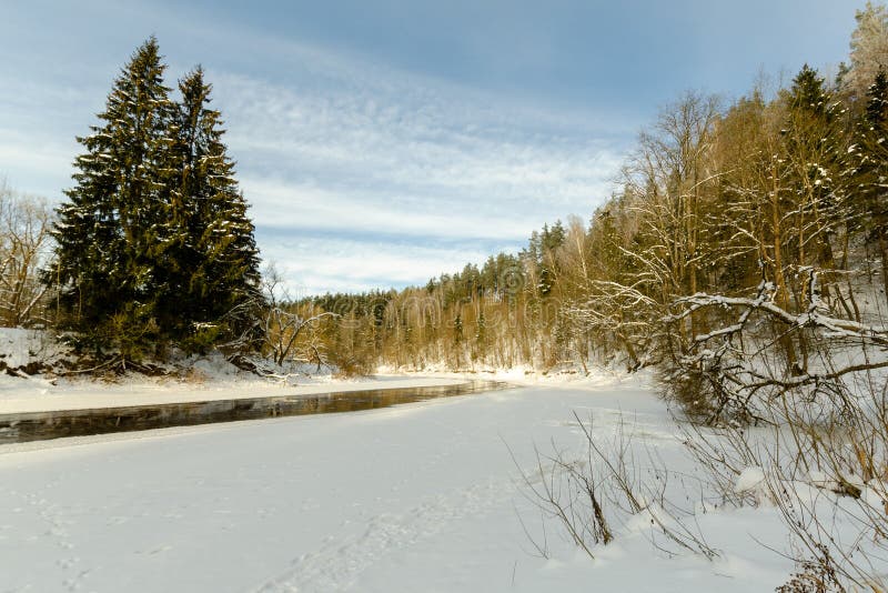 River in the Winter Forest Going into the Distance. Winter Nature Stock ...