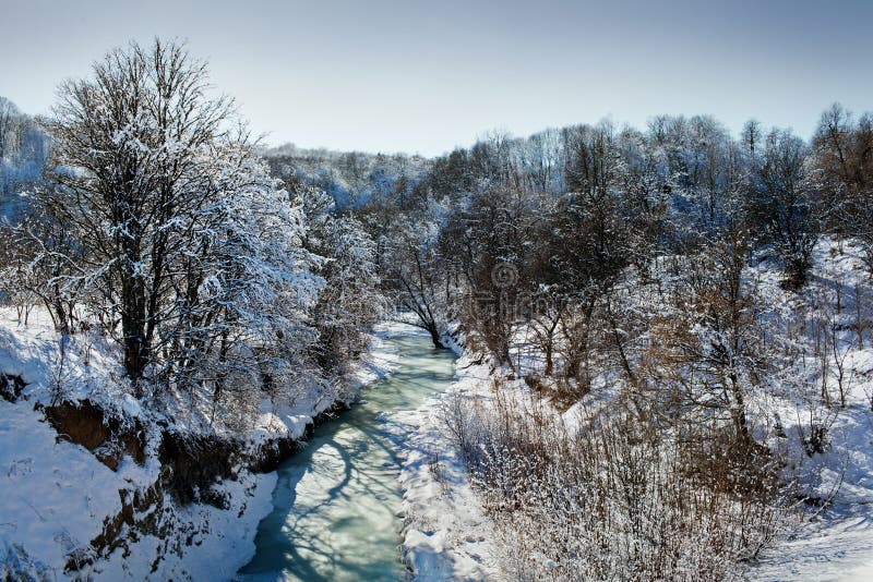 River in winter forest stock photo. Image of flora, blue - 36691036