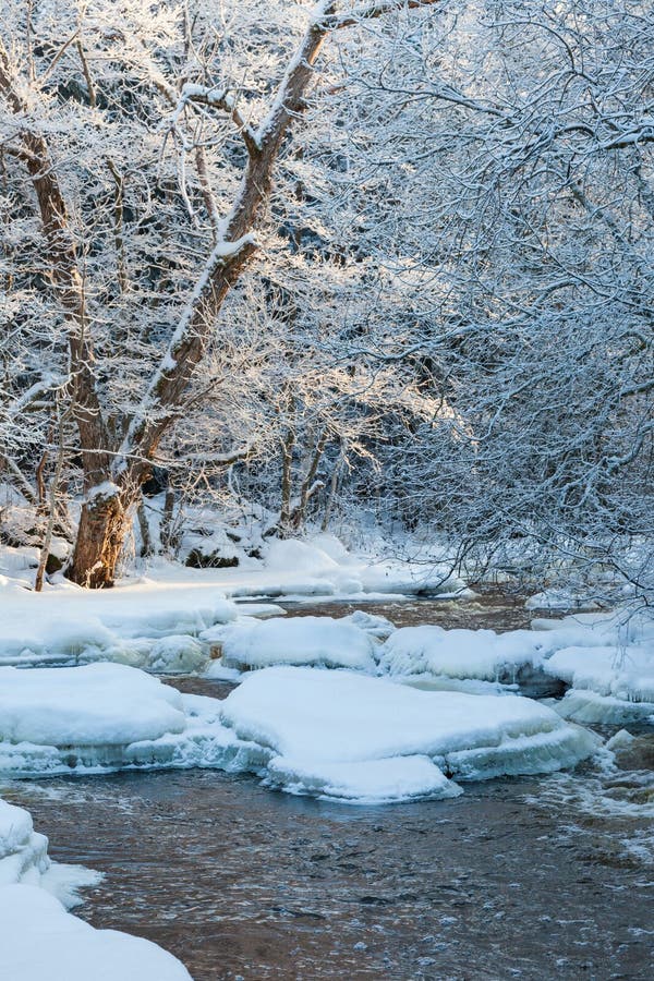 Open river at winter stock image. Image of cold, peaceful - 46825905