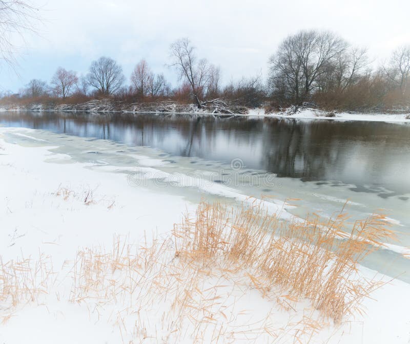 River in the winter stock photo. Image of park, cold - 89720110