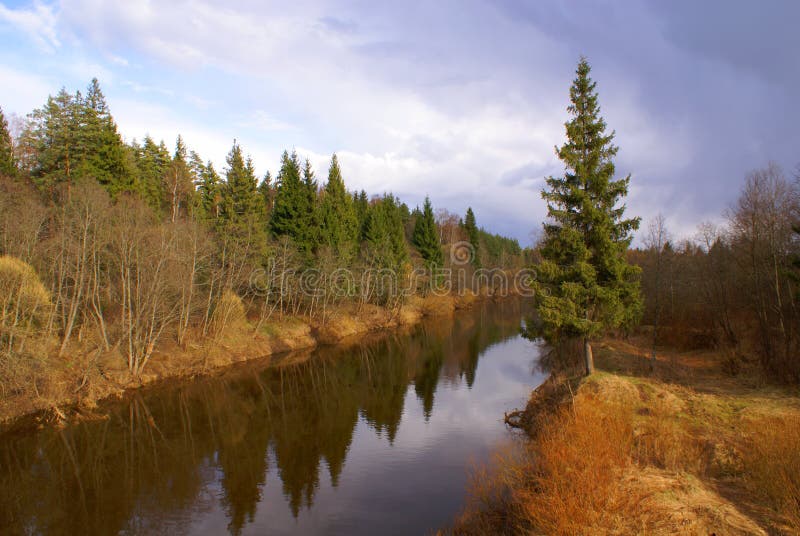 The River in Wood in the Spring Stock Photo - Image of sandstone ...