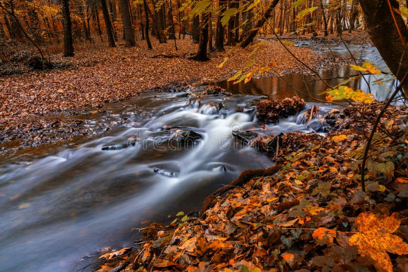 River in the Woods in Autumn. Stock Image - Image of spring, beauty ...