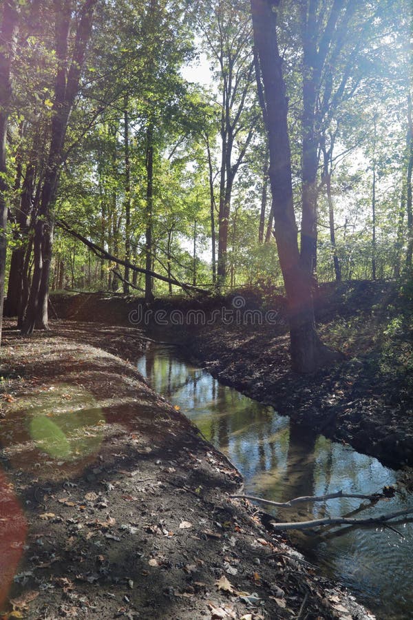 A River in the Woods in Fall Season Stock Photo - Image of leaf, forest ...