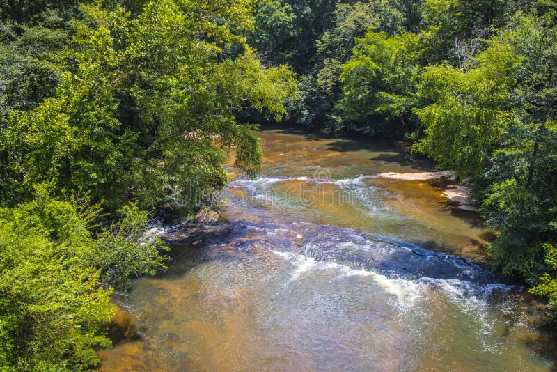 A River through the Woods with Green Trees Stock Photo - Image of woods ...