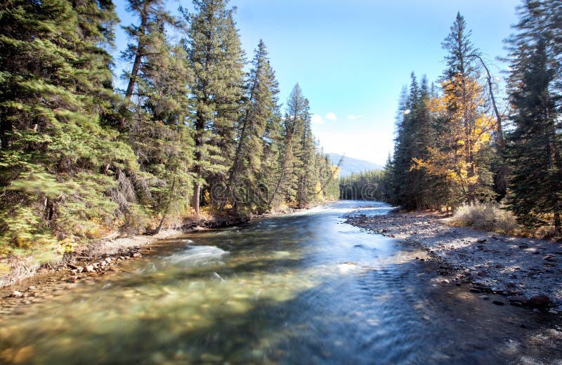 River in woods stock image. Image of blur, flowing, natural - 47951321