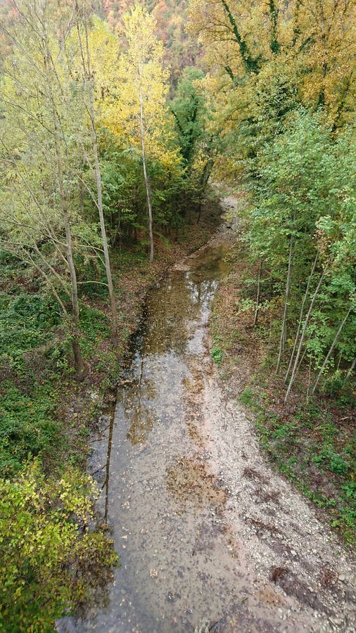 River in Woods Nature Landscape Stock Image - Image of landscape, woods ...