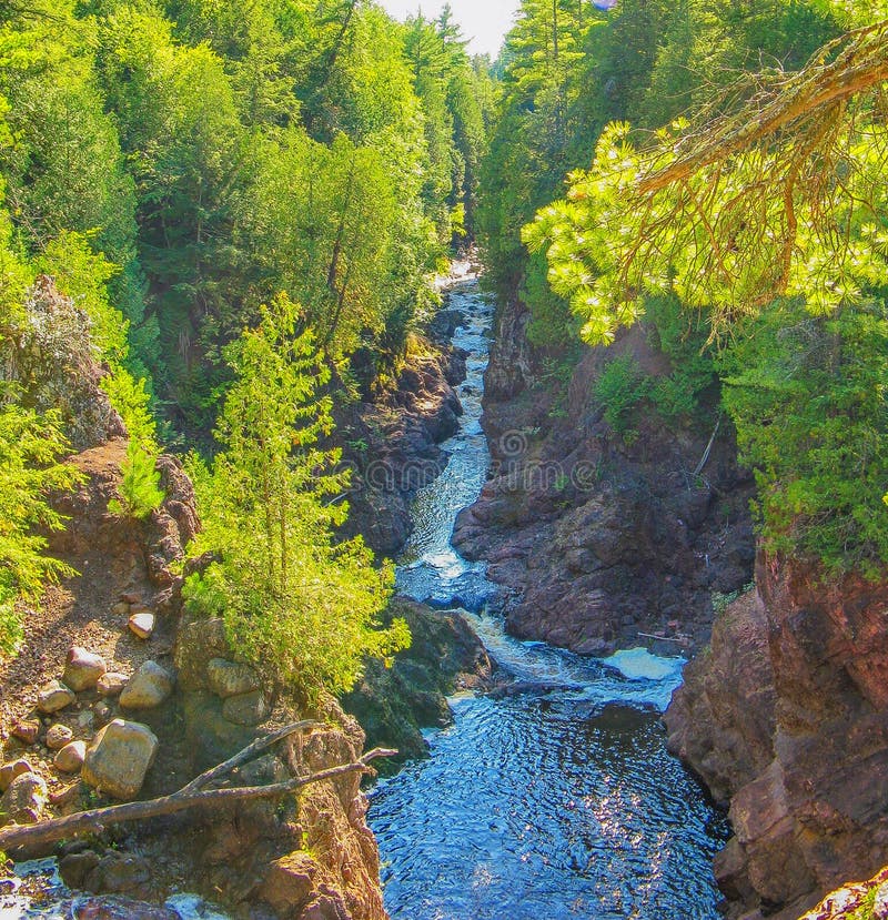 River through woods stock photo. Image of lichen, nature - 8077186