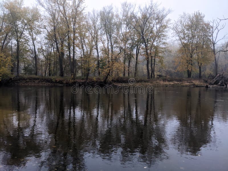 River in the Woods with Trees in Autumn Stock Photo - Image of fall ...