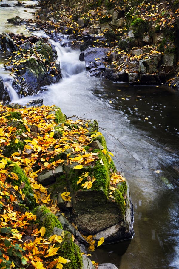 River and Yellow Leaves in Autumn Season Stock Image - Image of tarare ...