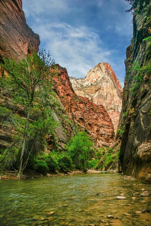 River through Zion stock image. Image of southern, park - 224980055