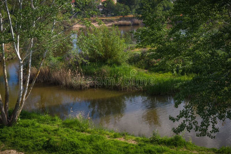 Rivera of the River in Spring Stock Photo - Image of grass, garden ...