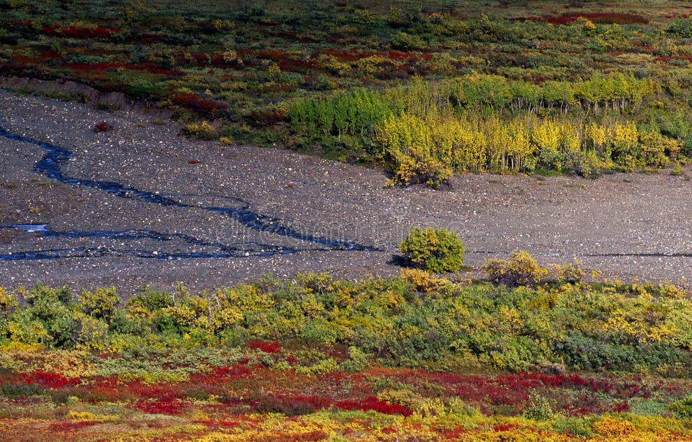 Riverbank stock photo. Image of forest, desolate, flow - 16101464