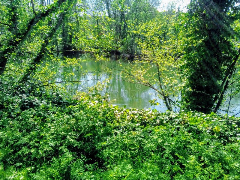 Riverbank Clain France Stock Photos - Free & Royalty-Free Stock Photos ...