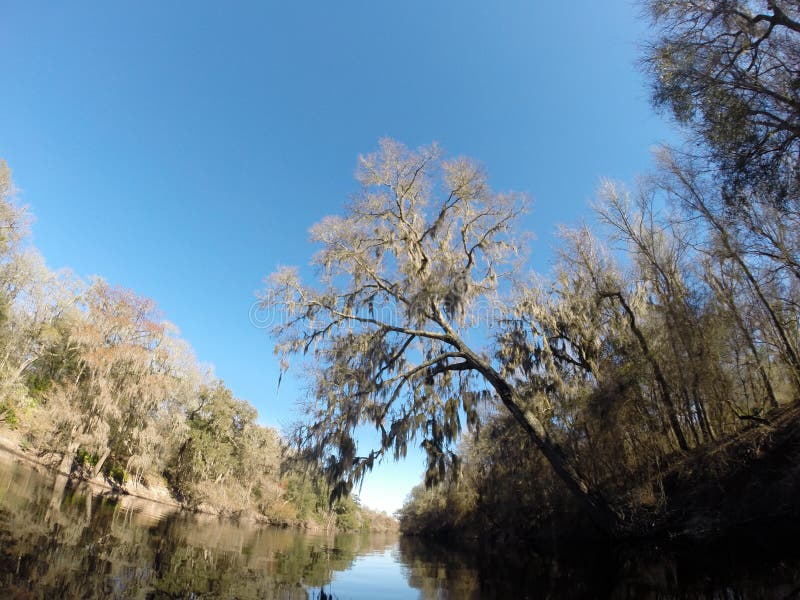 Riverbank stock image. Image of geography, landform, fluvial - 71723559