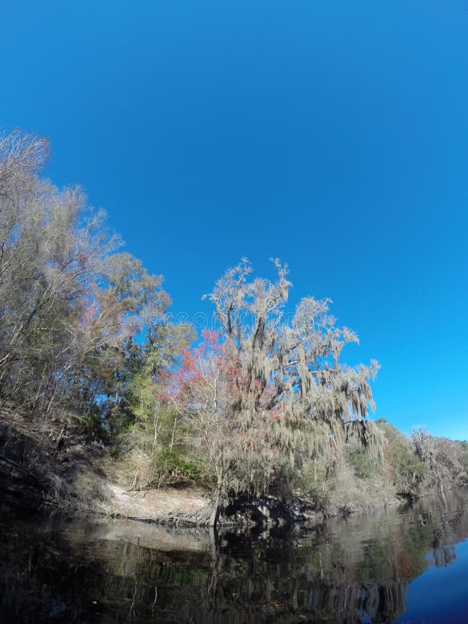 Riverbank stock photo. Image of rock, bank, landform - 71723590