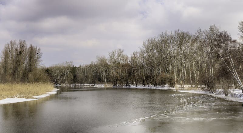 Riverbank in the spring stock photo. Image of environment - 113235174