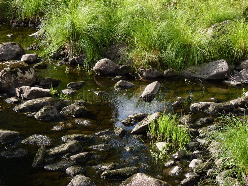 Riverbed stock image. Image of grass, recreation, reflection - 24552223