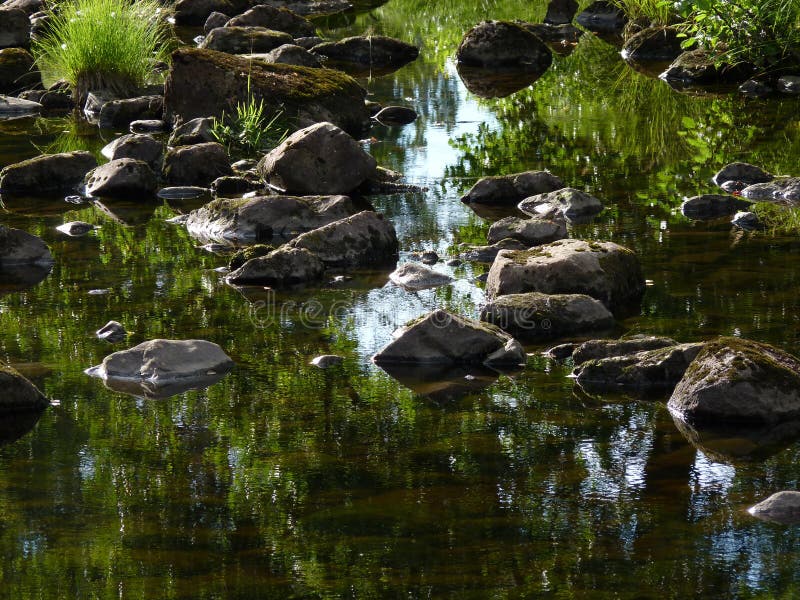 Riverbed stock image. Image of flow, background, green - 24552219